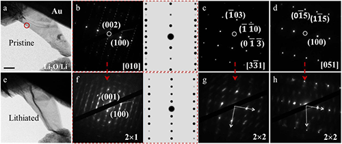 上海科技党建-中国科学院物理研究所揭示二硫化钼嵌锂诱导结构相变的原子机制