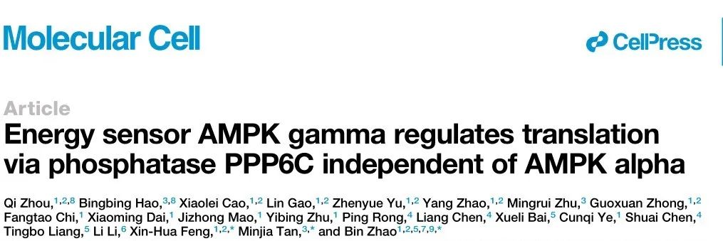 上海科技党建-Mol Cell | 上海药物所合作发现细胞能量感受器AMPKγ全新作用机制