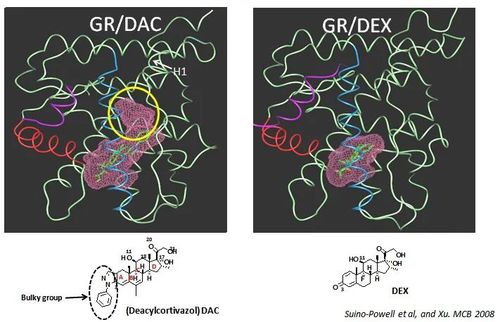 上海科技党建-新药进展 | 1类新药PA9159吸入气雾剂哮喘适应症获批临床