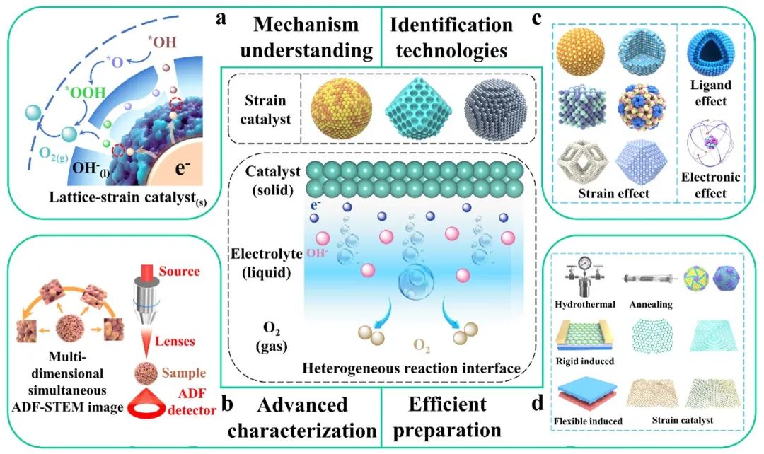 上海科技党建-上海硅酸盐所在Advanced Materials发表晶格应变工程调控氧析出电催化剂综述文章