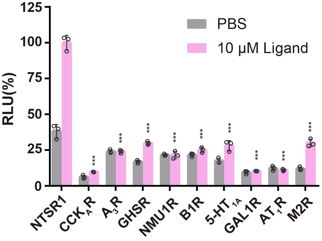 上海科技党建-中国科学院上海药物所破解GPCRs的激酶招募及偏向性信号转导机制
