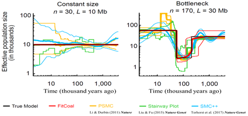 上海科技党建-中国科学家领衔创建新的全基因组分析方法并发现人类在早、中更新世过渡期经历严重的群体瓶颈